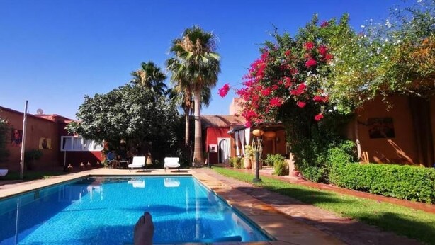 Piscina com espreguiçadeiras e uma palmeira ao fundo.