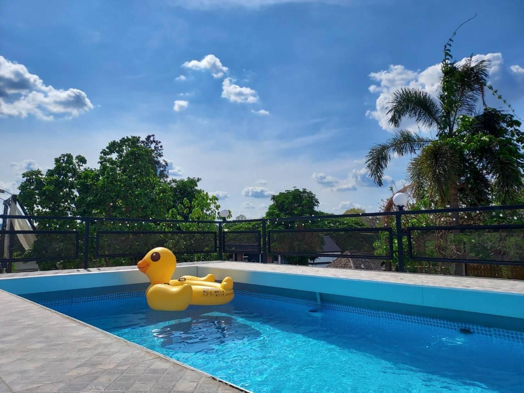 Piscina com um pato inflável amarelo, cercada por uma grade e árvores.