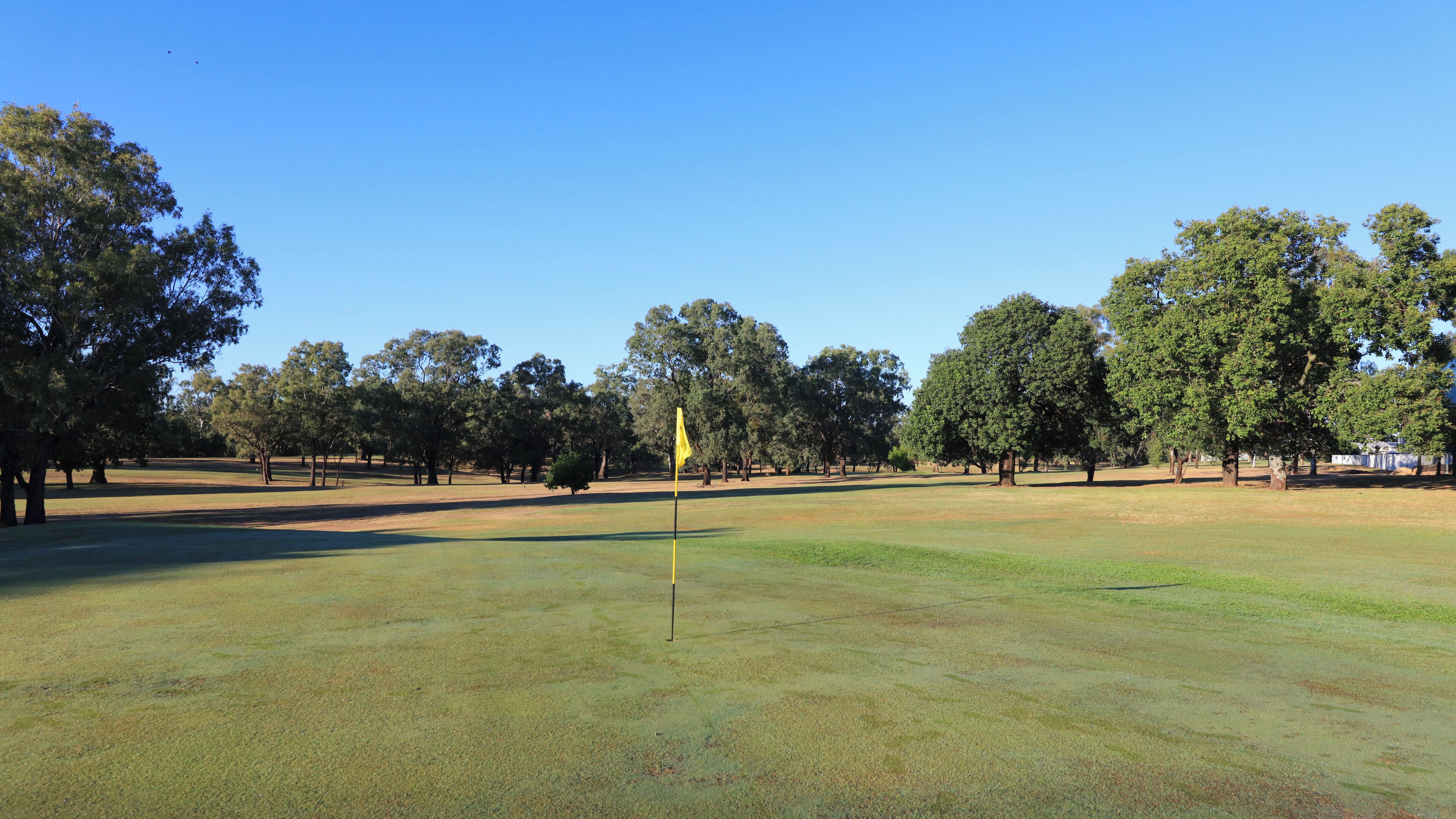 Um campo de golfe com mastro, árvores e céu claro.