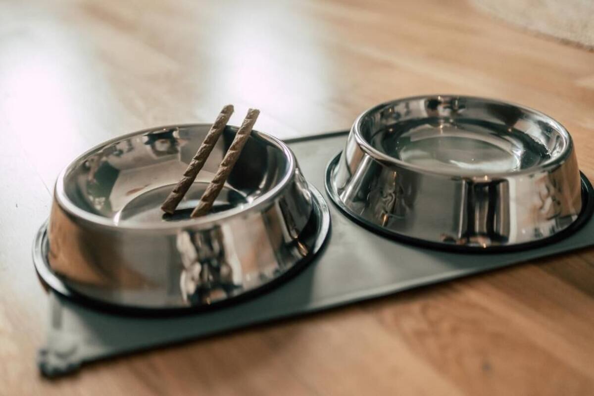 Duas tigelas de aço inoxidável sobre um prato preto.
