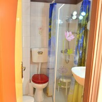 Casa de banho com sanita, chuveiro e lavatório.