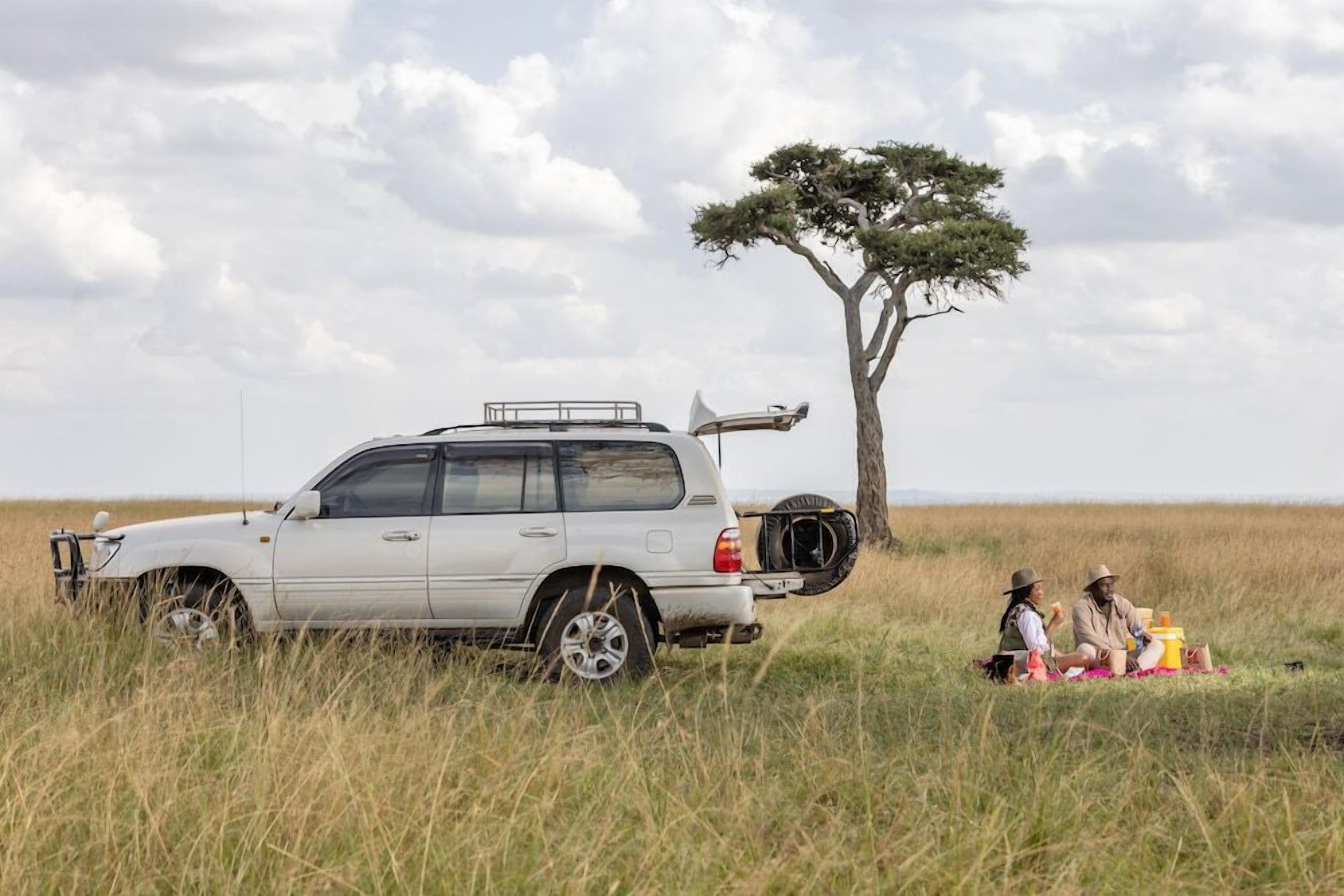 Um SUV branco estacionado em um campo gramado, com uma árvore e área de piquenique por perto.