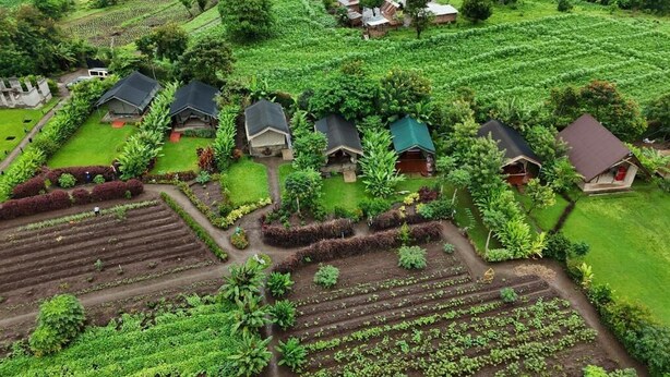 Vista aérea de uma zona rural com campos em socalcos e algumas casas pequenas com telhados distintos.