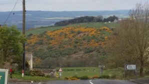 Uma estrada rural com uma placa de direção, guarda-corpo e paisagem acidentada com vegetação.