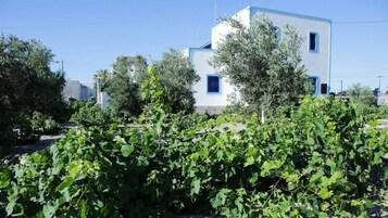 Terrenos do alojamento