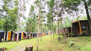 Uma fileira de cabanas numa área arborizada, com um caminho de terra que as atravessa.