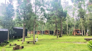 Uma área arborizada com várias casas na árvore e cabanas.