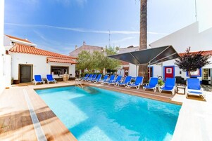 Piscina com cadeiras de descanso azuis e uma palmeira.