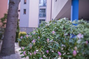 Pormenores do exterior