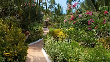 Terrenos do alojamento