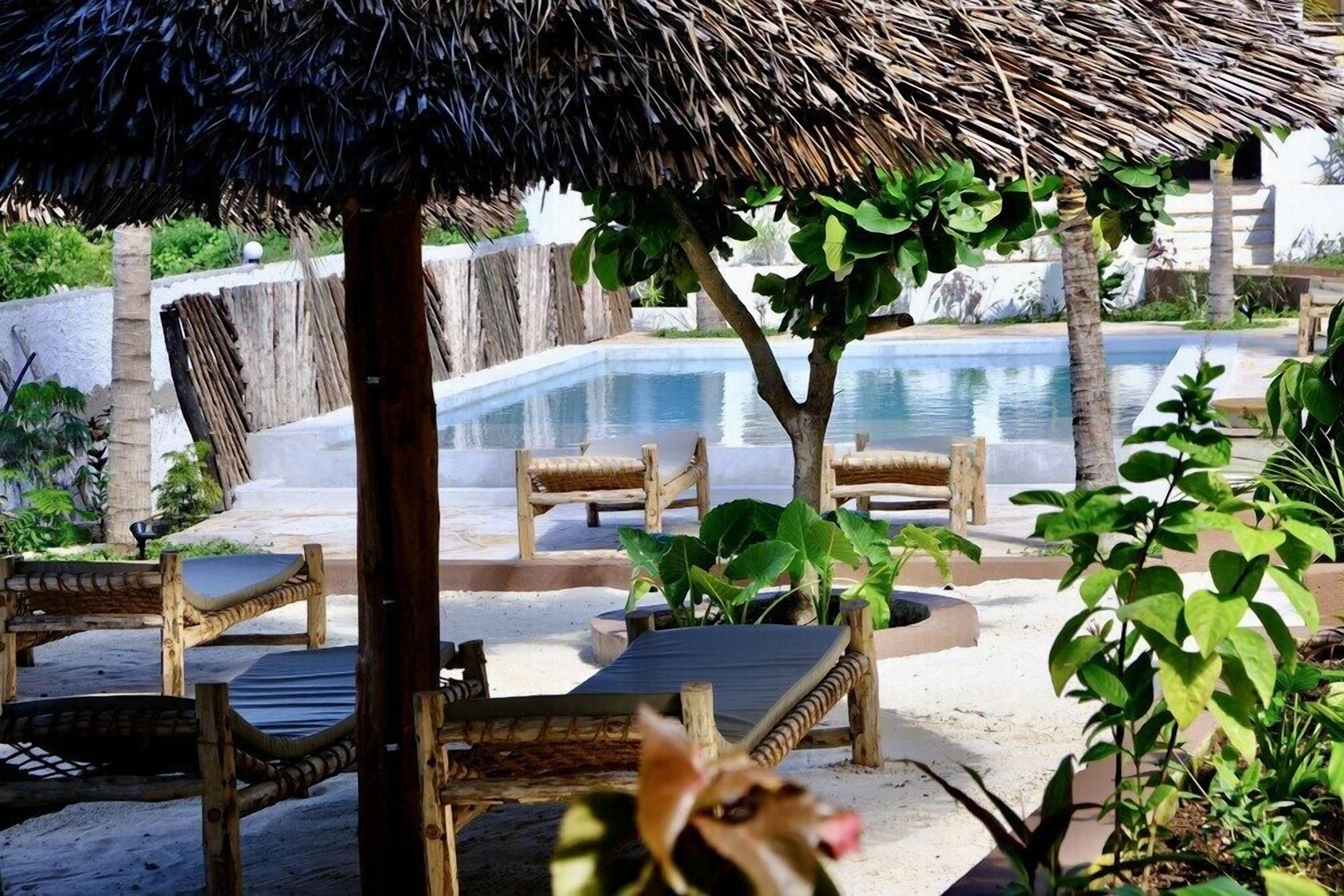 Uma área na beira da piscina com espreguiçadeiras de madeira e um guarda-sol de palha, cercada por vegetação e uma piscina.