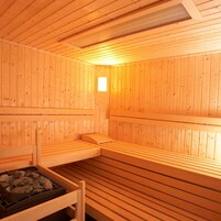 Sauna seca