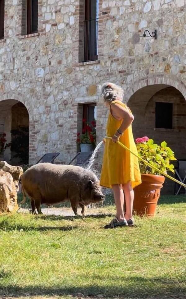 Agriturismo Sole - Toscane