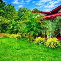 Vista para o jardim
