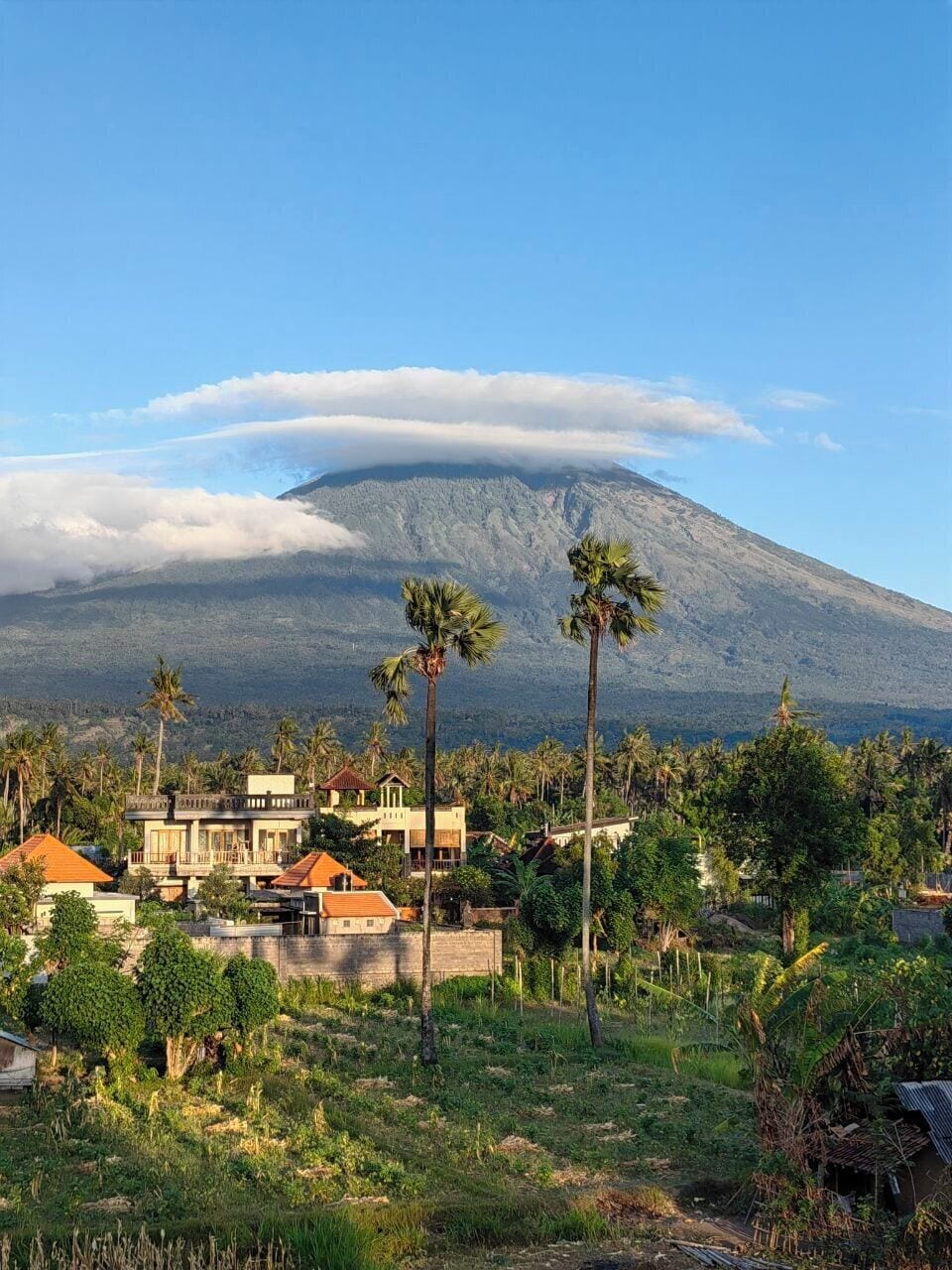Vista da propriedade
