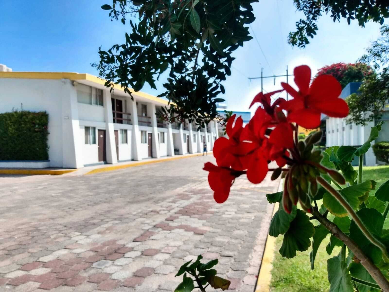 Terrenos do alojamento