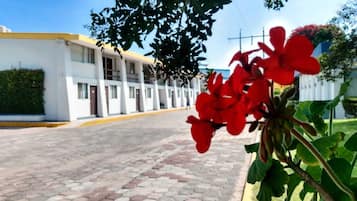 Terrenos do alojamento