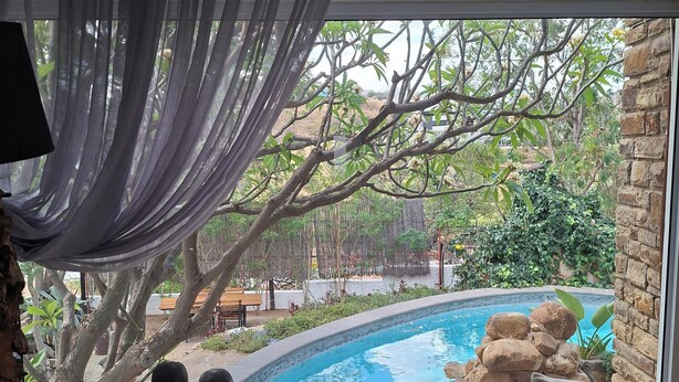 Quarto com vista para uma piscina, um sofá com almofadas, um abajur e uma cortina fina.