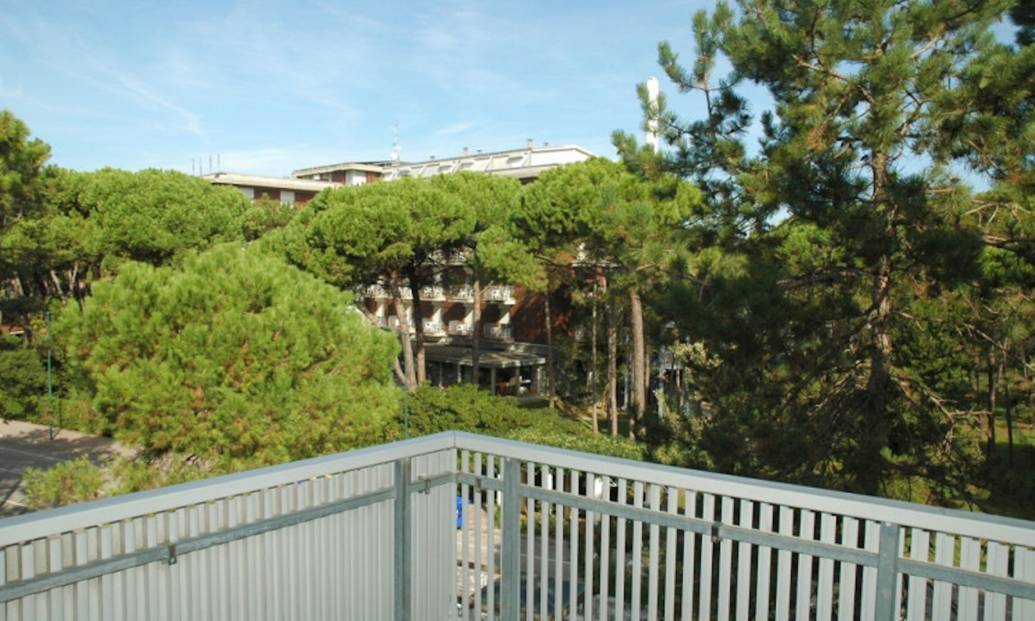 Jardim
