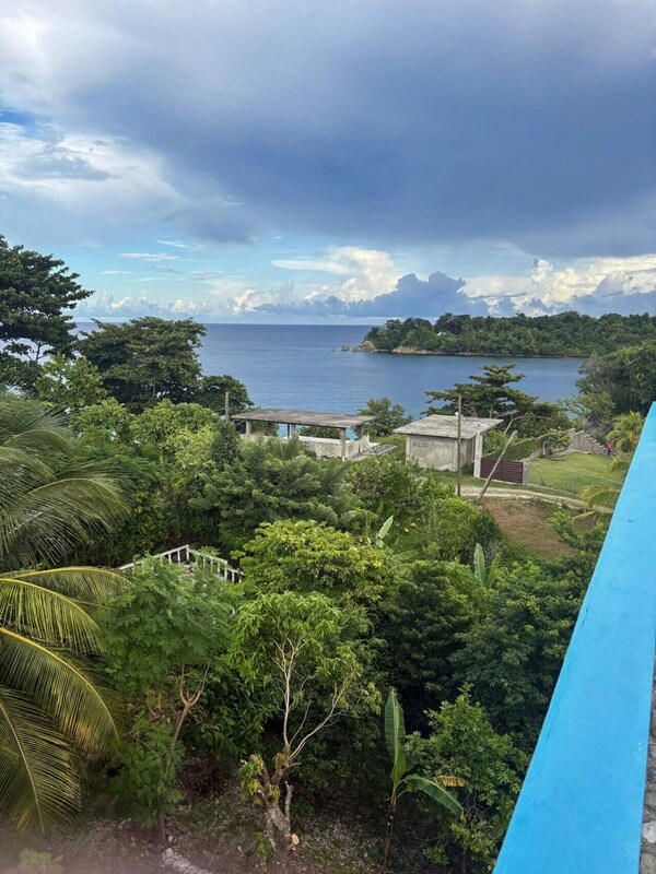 Perfect View - Entire House - Port Antonio