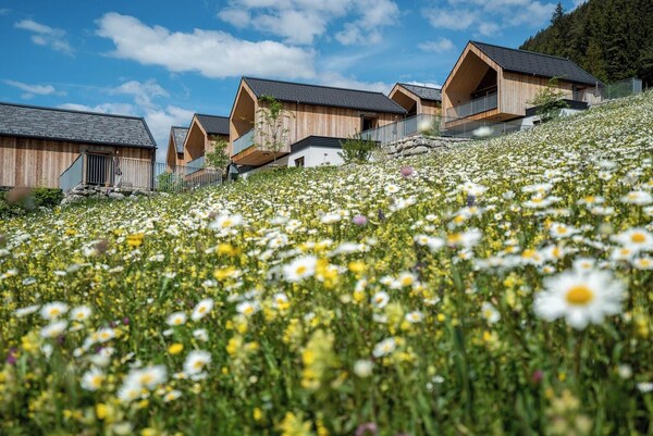 Regitnig Gmbh - Hotel & Chalets - Weißensee