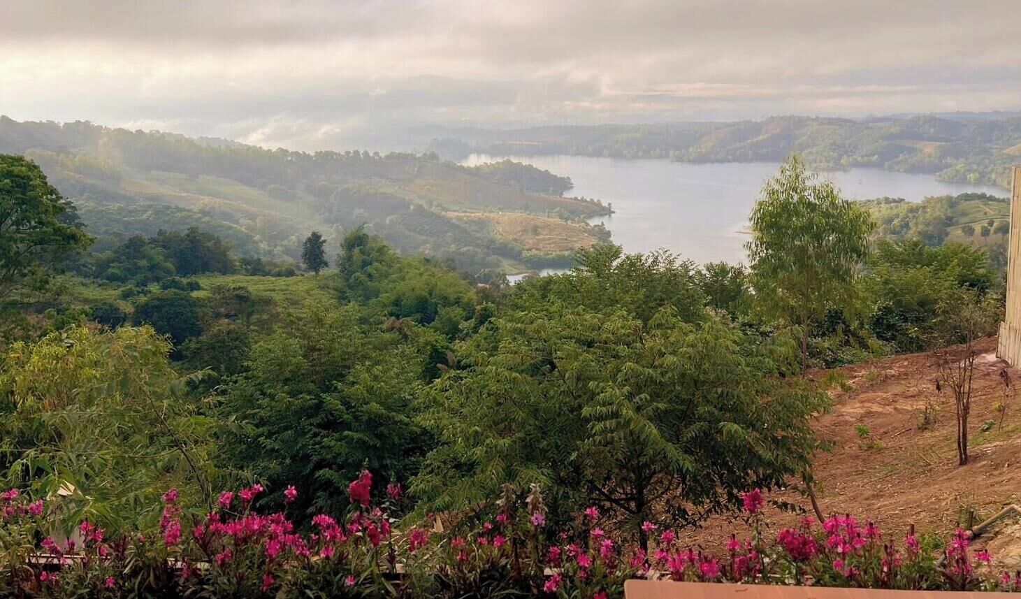 Vista de um lago cercado por vegetação exuberante e colinas.