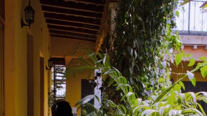 Um corredor com paredes amarelas, chão em azulejos e plantas em vasos.