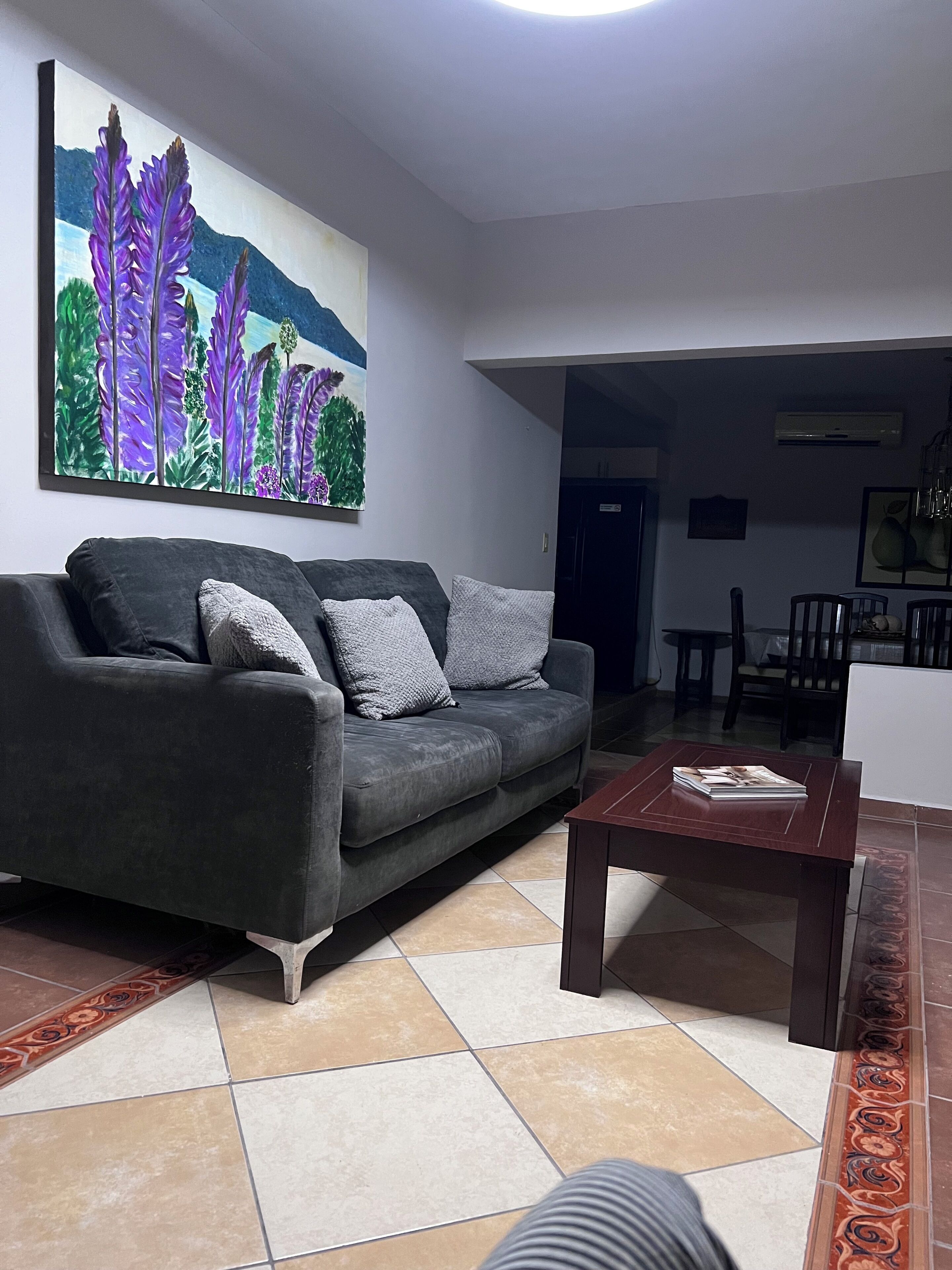 Beautiful View Of El Cerro & Short Walk To Stadium, 3br 2b Apt In Guadalupe - Monterrey
