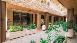 Um hall de hotel com parede de pedra, teto de madeira e vários vasos de plantas.