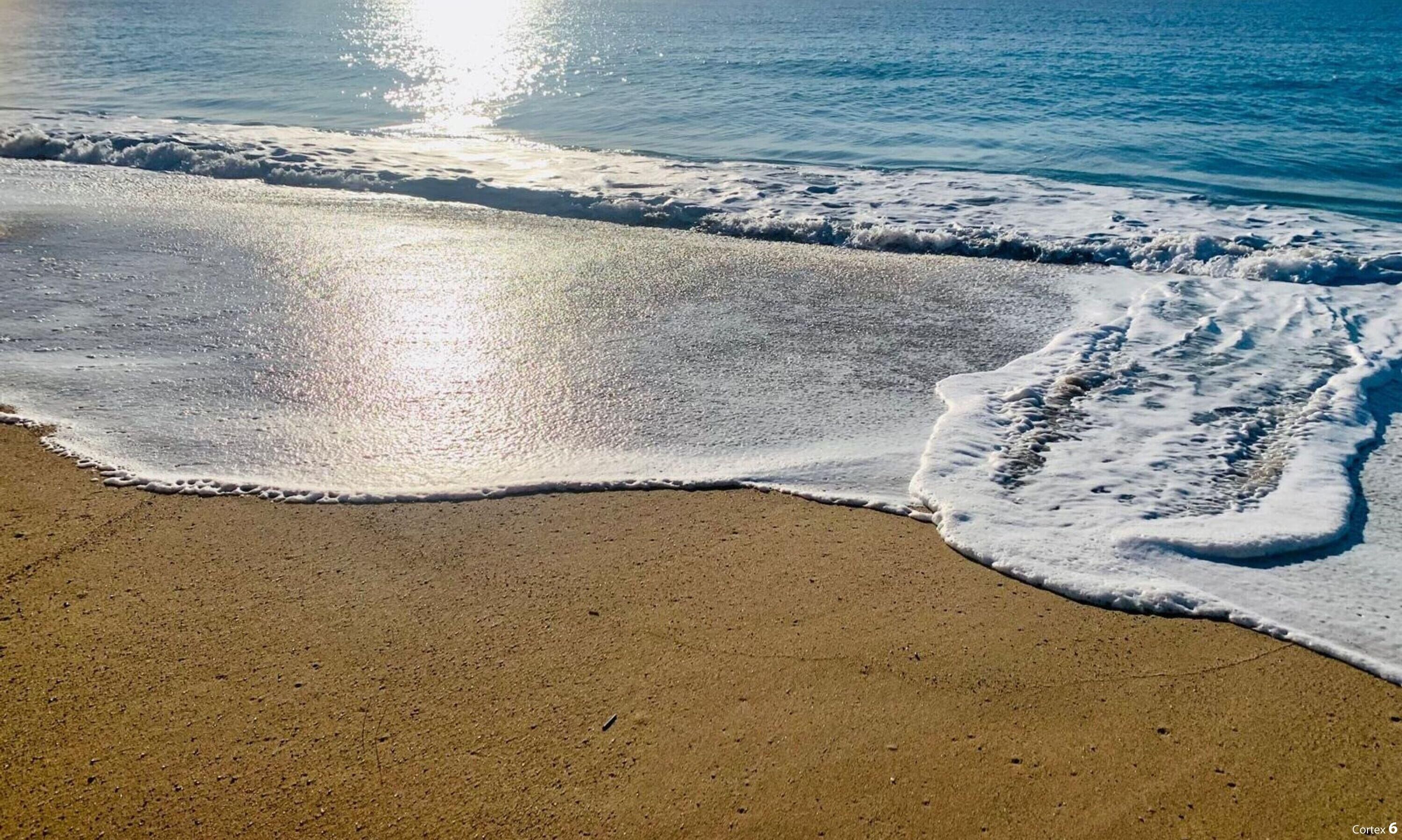 Apartamento | 3 quartos