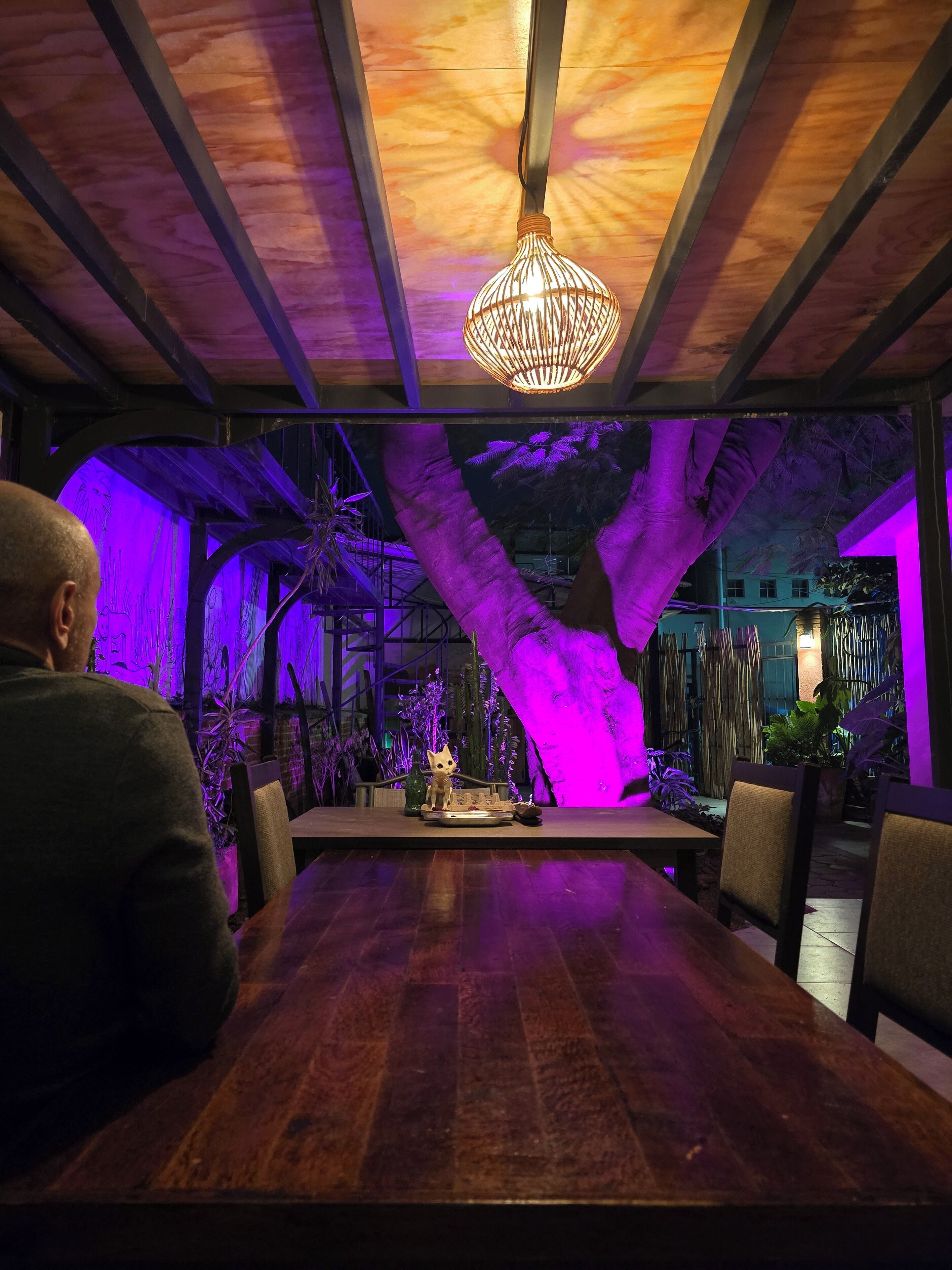 Dormitório compartilhado, em dormitório misto | Opções para refeição