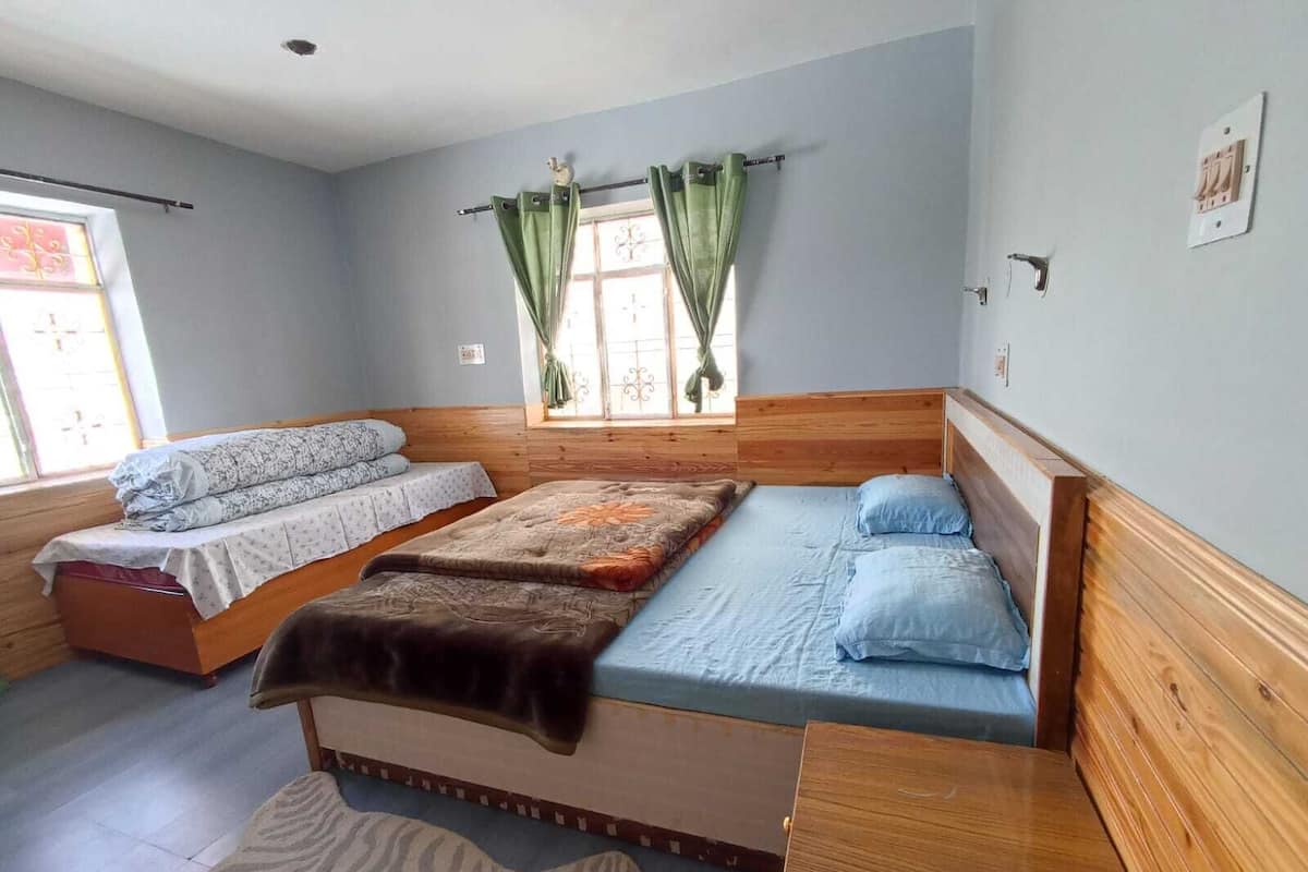 Quarto com duas camas, uma janela com cortinas e um tapete com padrão de zebra.