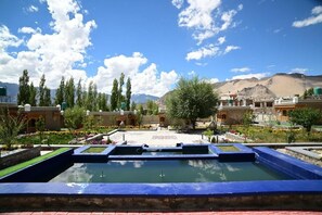 Imagem não classificada, 5 de 10, botão