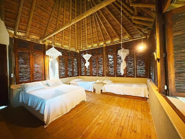 Imagem não classificada, 1 de 43, botão