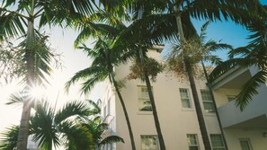 Apartamento | 4 quartos