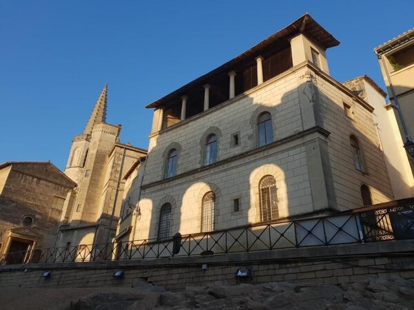 Palais De Luppé - Guest House - Arles