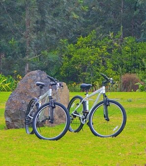 Ciclismo