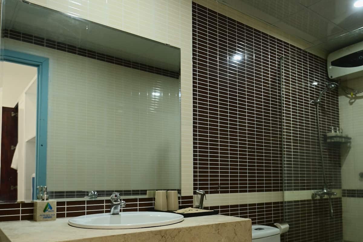 Chuveiro, secador de cabelo, sabonete, shampoo