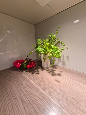 Apartamento, 1 quarto, acessível, varanda | Interior