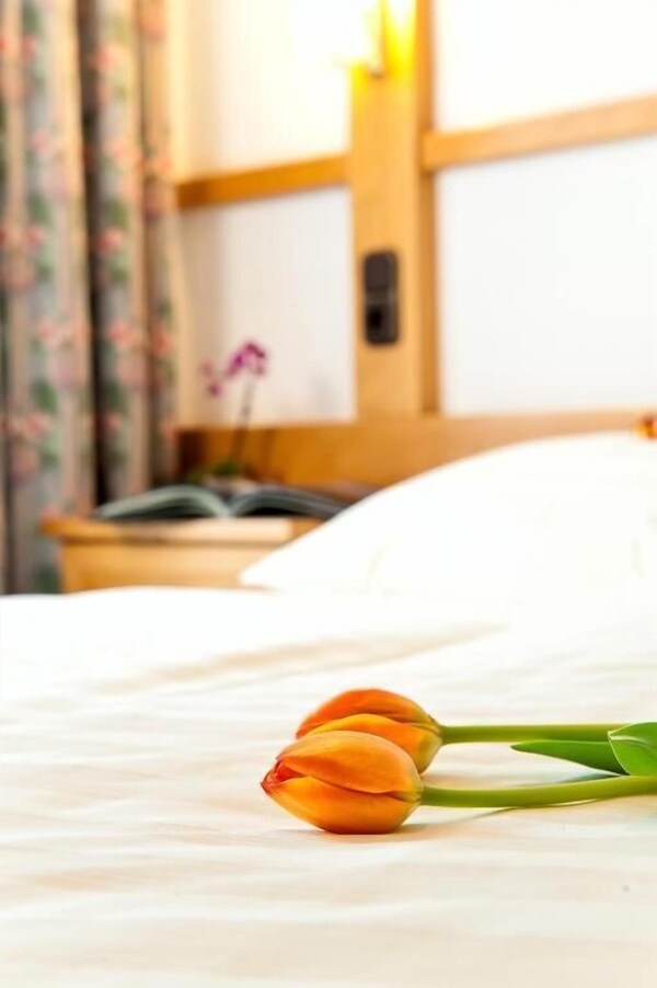 Hotel Pension Koch - Mittersill