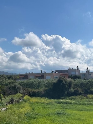 Zona residencial com edifícios modernos, céu claro e vegetação exuberante.