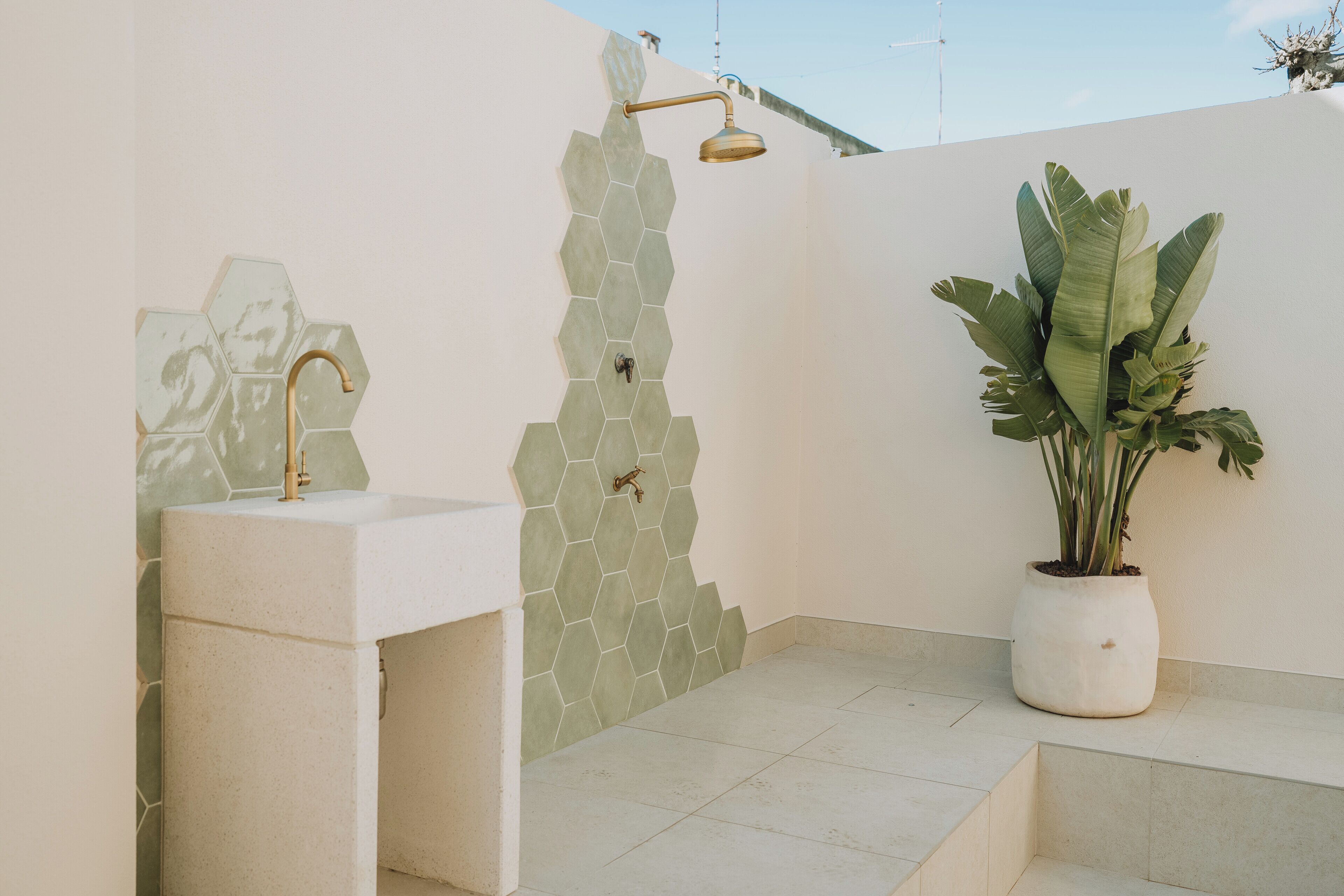 Casa de banho com lavatório, chuveiro e planta em vaso.