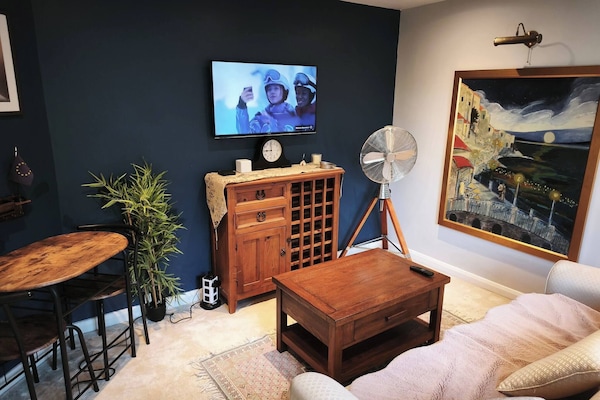 Apartamento, 1 quarto, vista para o jardim | Sala | Livros