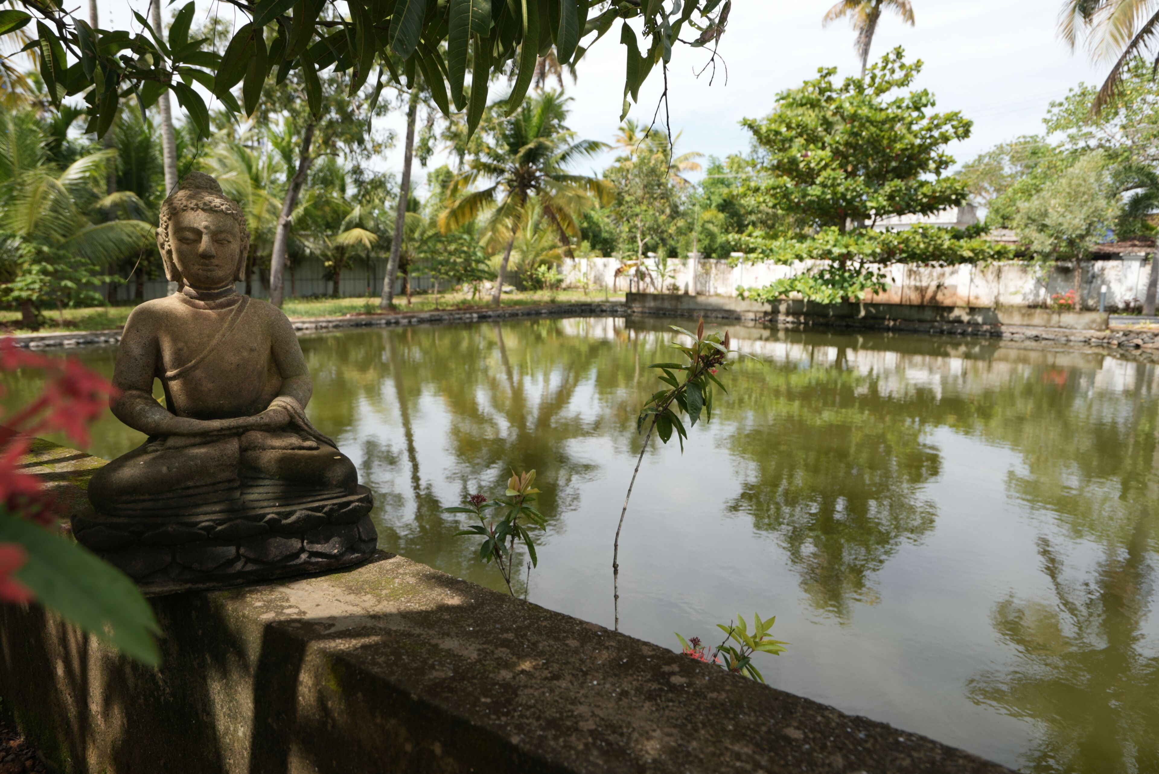 Uma estátua de Buda sobre um pedestal de pedra, junto a um lago calmo, cercada por vegetação exuberante e palmeiras.