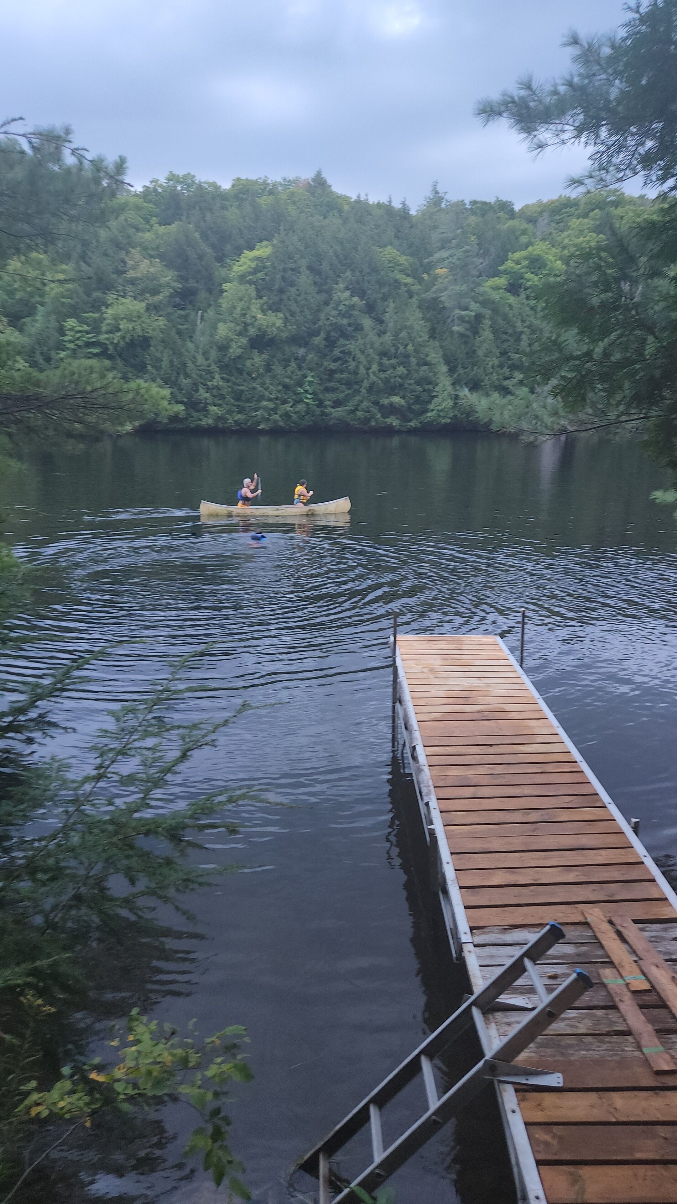 Chalet: Waterfront Cottage For Rent - Madawaska River, Calabogie - Renfrew