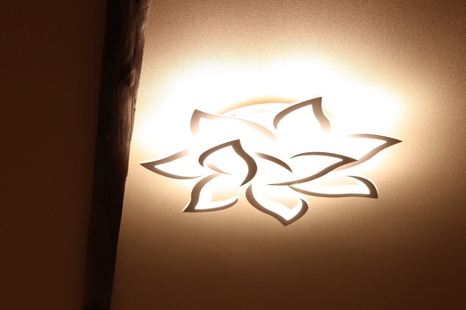 Uma parede com luminária projetando a sombra de uma flor de lótus.