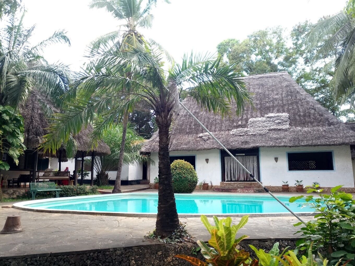 Área de piscina com construção de telhado de palha, palmeiras e um jardim bem cuidado.