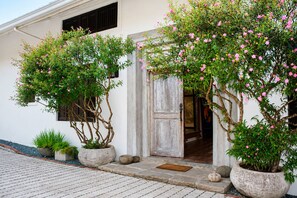 Um edifício com porta de madeira, plantas em vasos e entrada com azulejos.