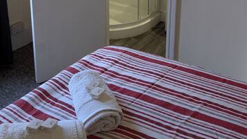 Quarto de hotel com cama, área de chuveiro e uma porta.