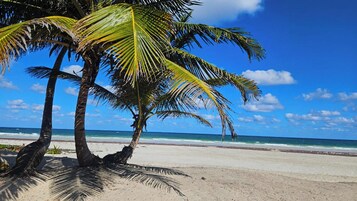 Quarto superior, para não fumantes, vista para a praia | Praia | Praia particular, areia branca, espreguiçadeiras, guarda-sóis 
